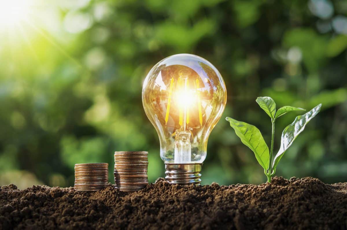 Passives lead as Australia defies ESG outflow trend: Morningstar ...