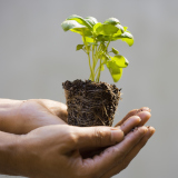 VicSuper launches ‘socially conscious’ option - Investor Daily